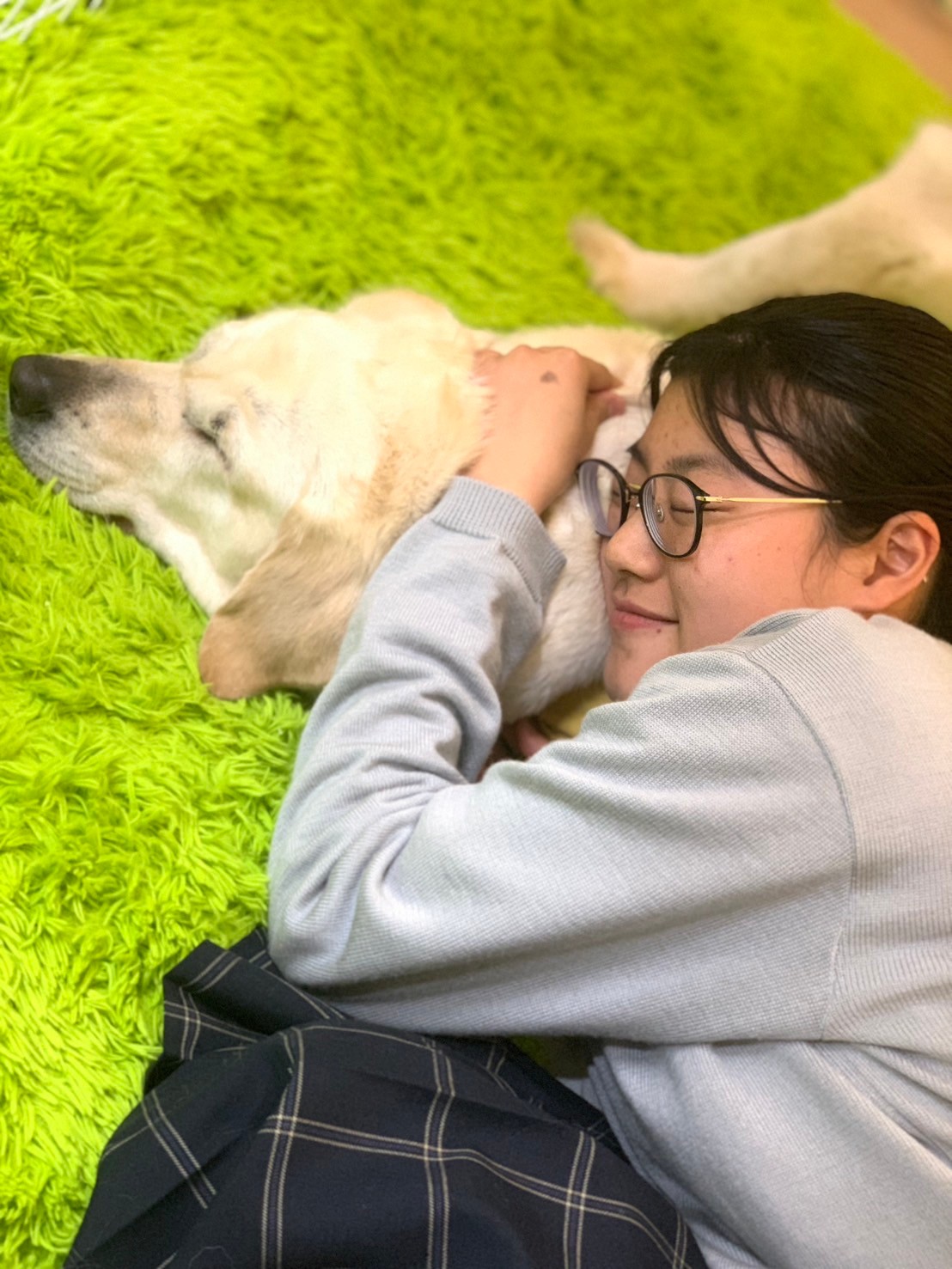 Live News（OHK）2024／10／30 - Social Animal Bond